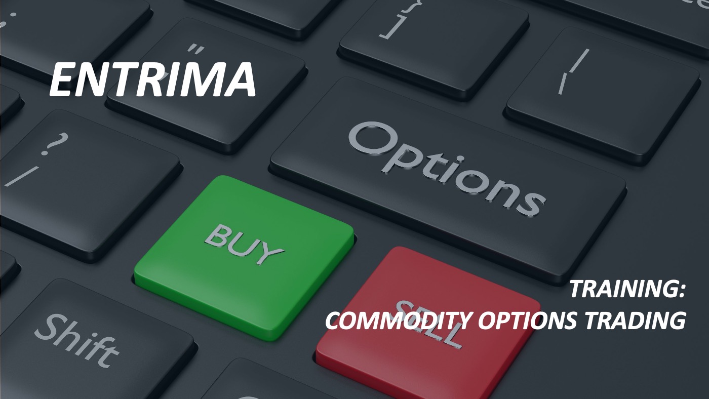 Commodity Options Trading: Train for Success in Dynamic Markets